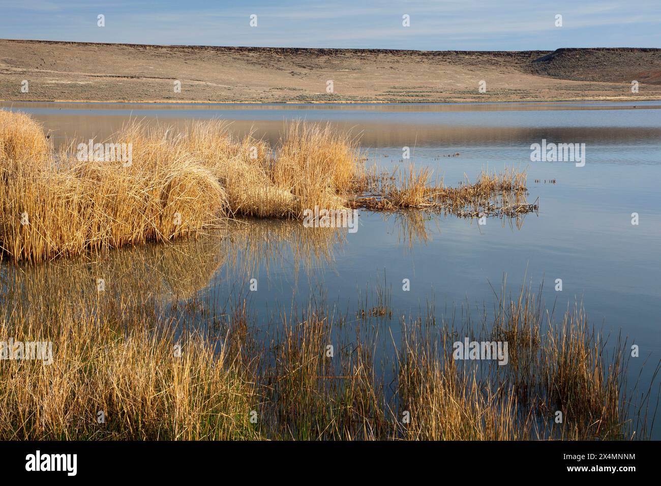 Sheldon national wildlife refuge hi-res stock photography and images ...