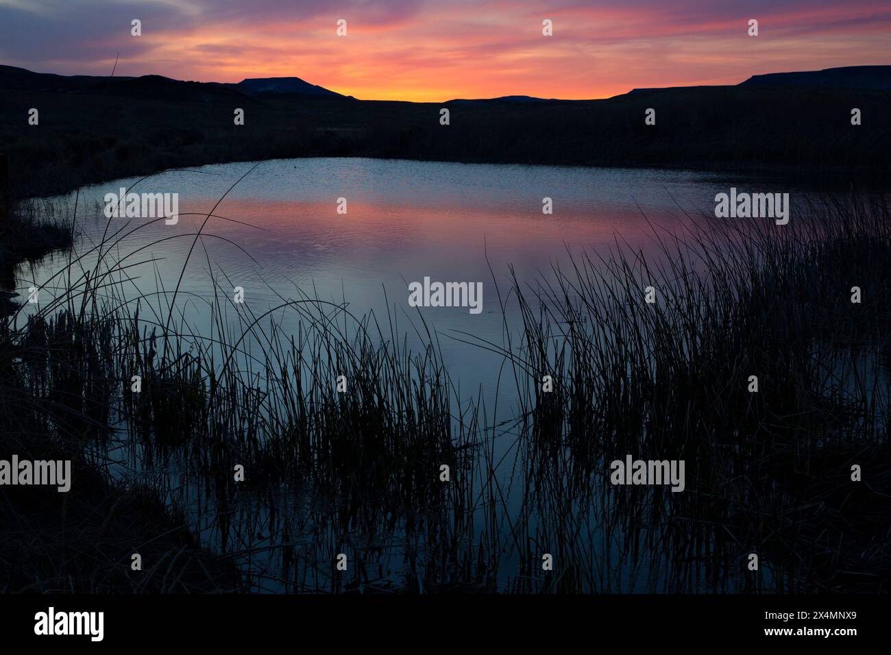 Mcgee pond hi-res stock photography and images - Alamy