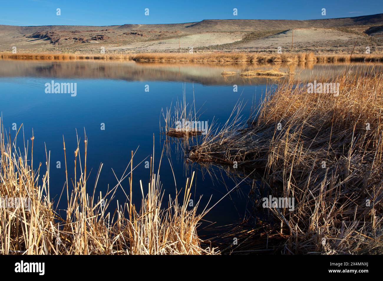 Dufurrena Ponds, Sheldon National Wildlife Refuge, Nevada Stock Photo ...