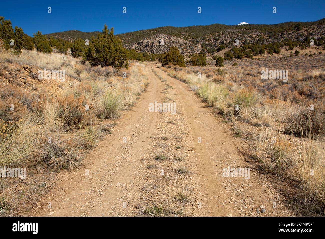 Cave lake state park nevada hi-res stock photography and images - Alamy