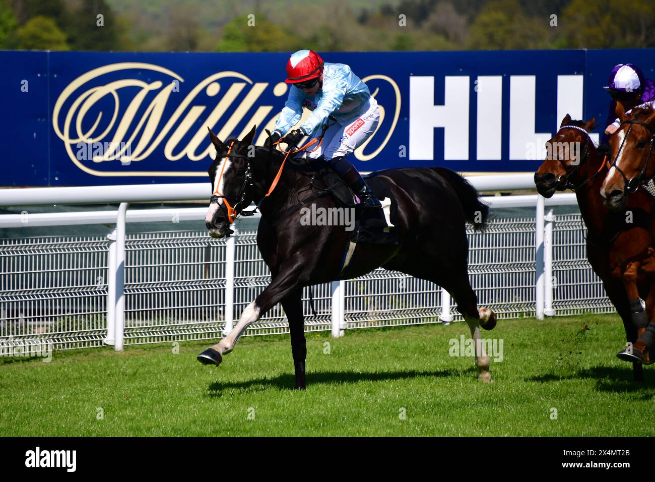Goodwood horse racing 2024 hi-res stock photography and images - Alamy