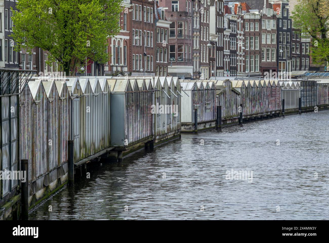 The floating Amsterdam Flower Market ("Bloemenmarkt") in spring Stock ...