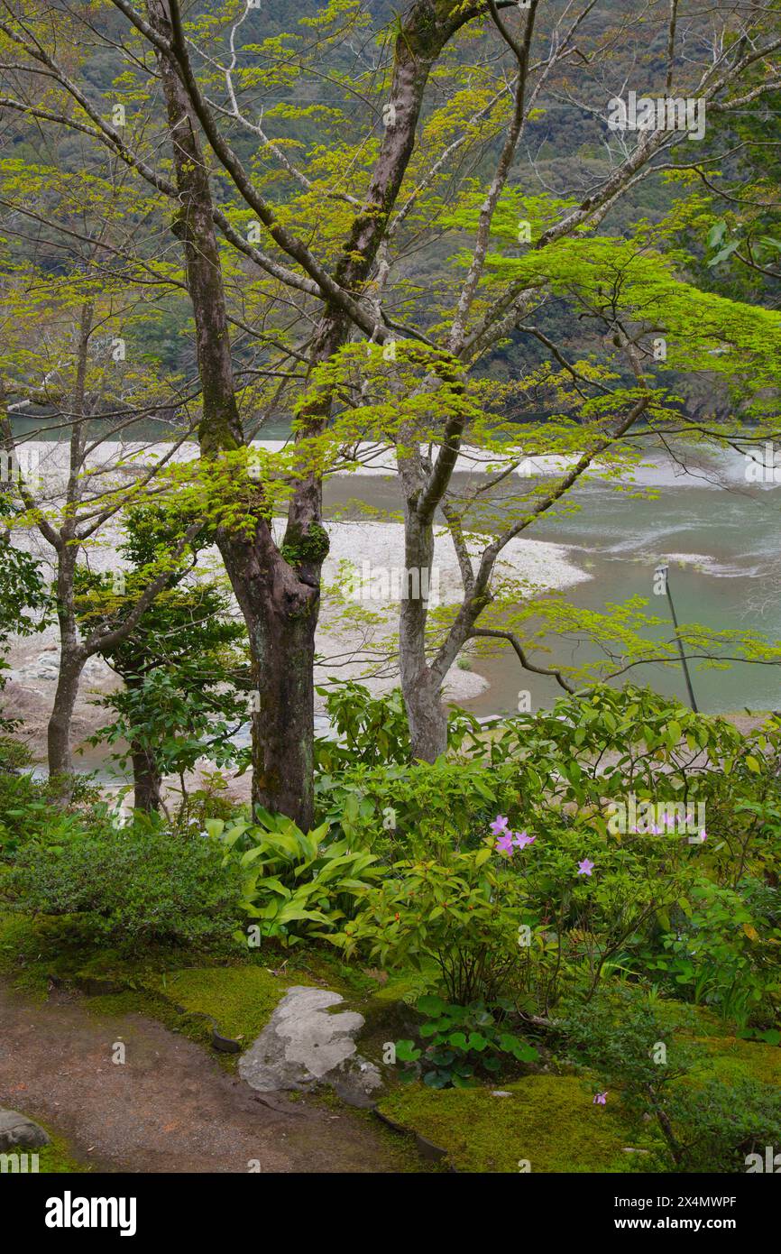 Japan, Shikoku, Ozu, Hijikawa River Stock Photo - Alamy