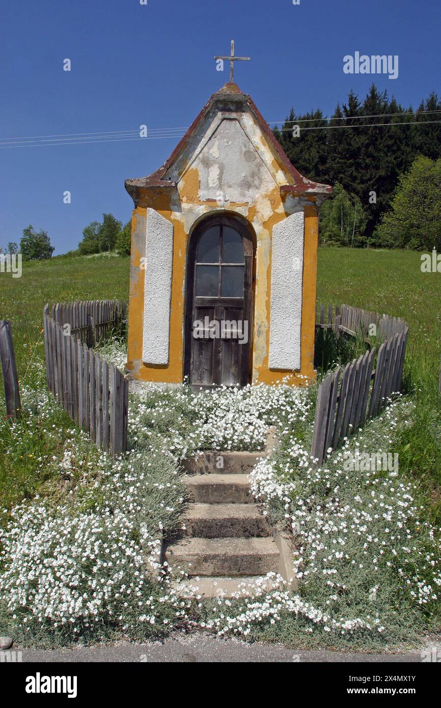 Kopu hi-res stock photography and images - Alamy