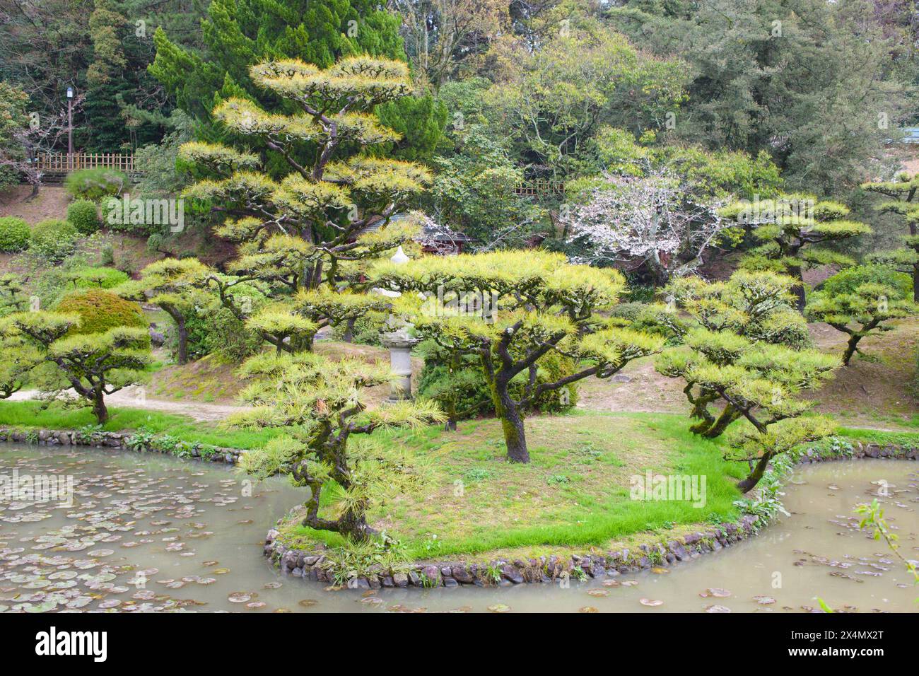 Japan, Shikoku, Matsuyama, Dogo Park Stock Photo - Alamy