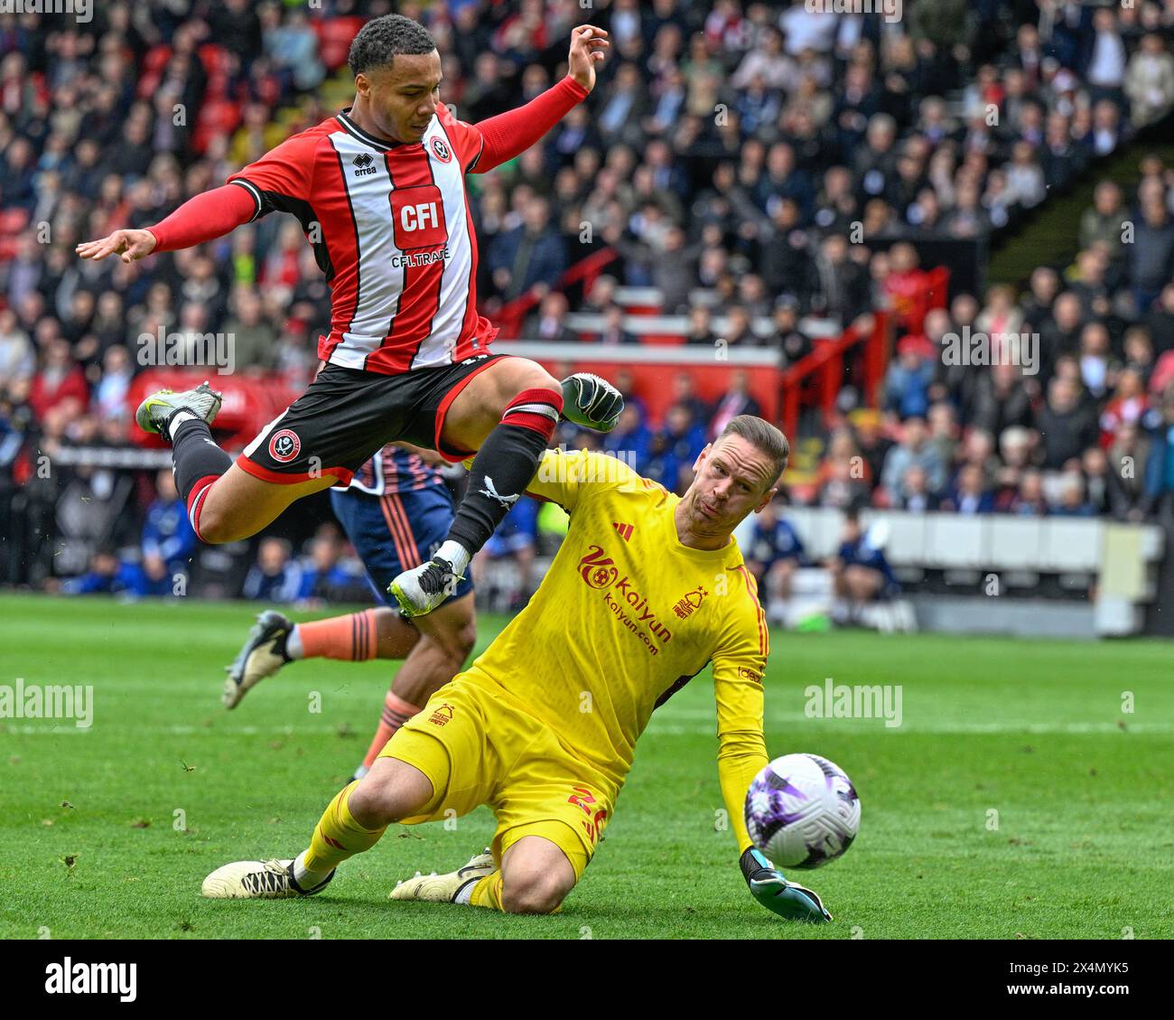 Matz Sels of Nottingham Forest saves Cameron Archer of Sheffield United ...