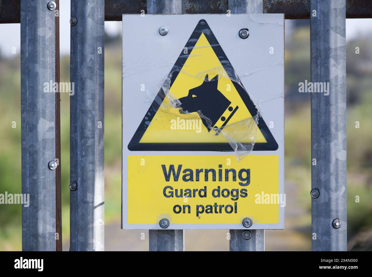 Guard dogs on patrol warning sign on security fence at construction ...