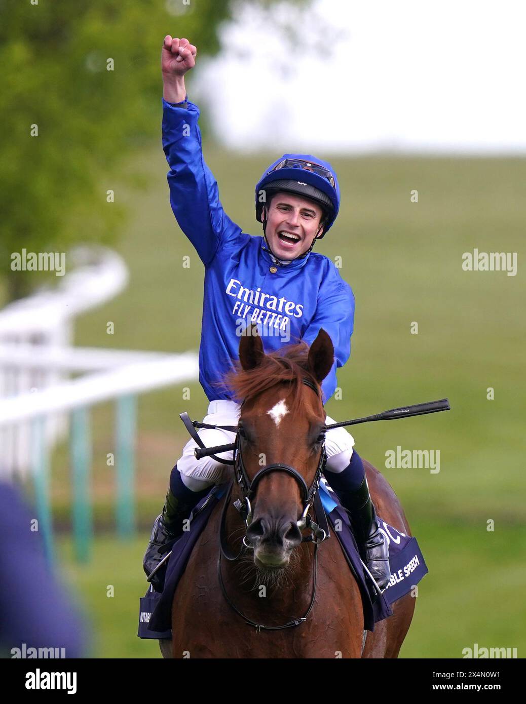 Notable speech horse hi-res stock photography and images - Alamy