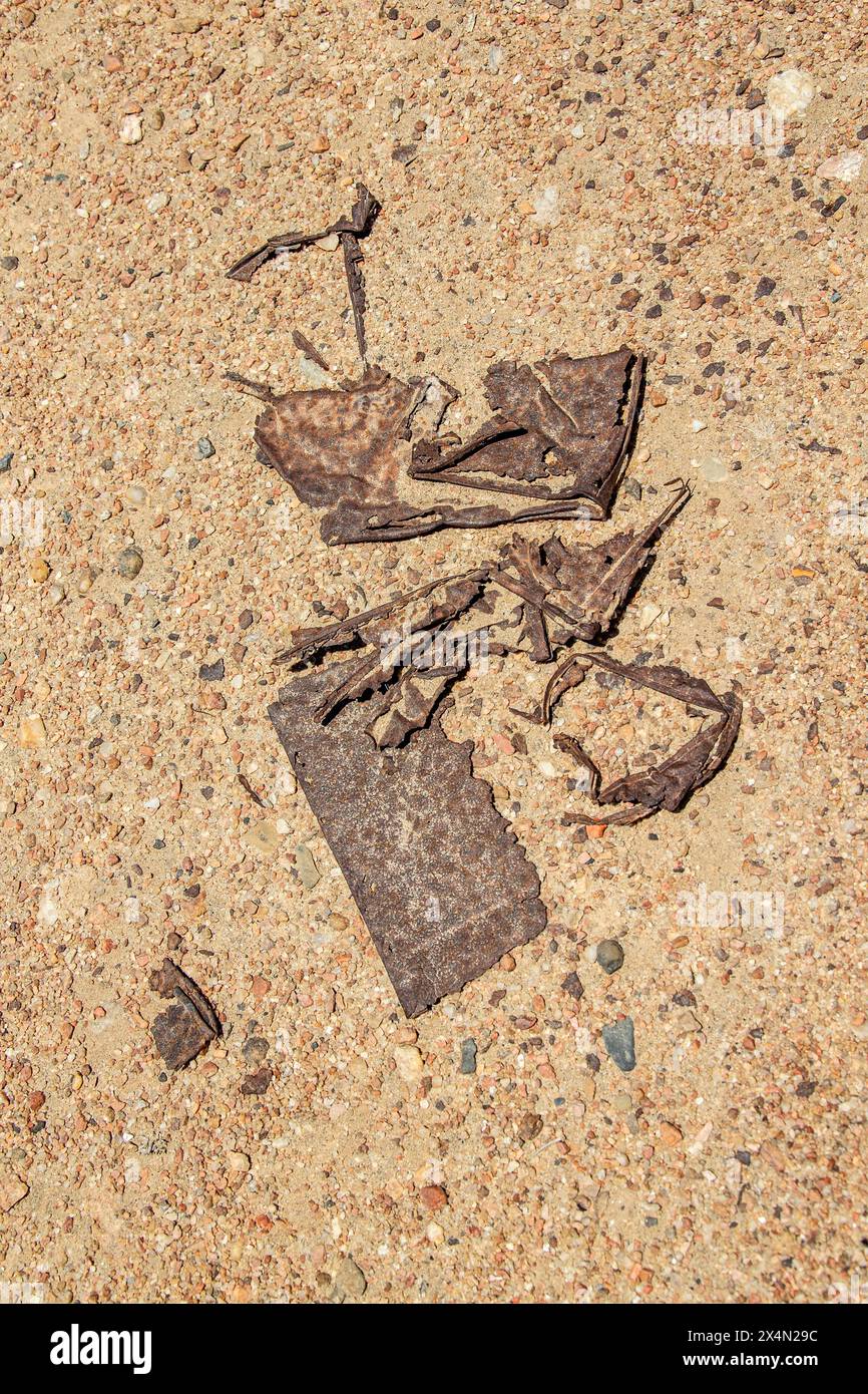 Squashed and slightly rusted cans, preserved by the exceptionally low ...