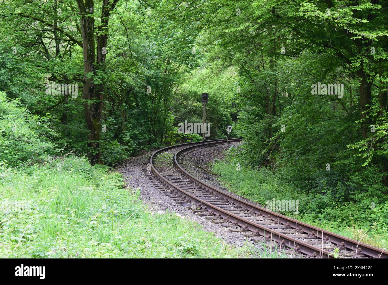 railroad tracks curve in green forest Stock Photo - Alamy