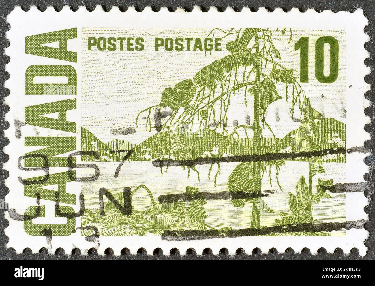 Cancelled postage stamp printed by Canada, that shows Jack Pine by ...