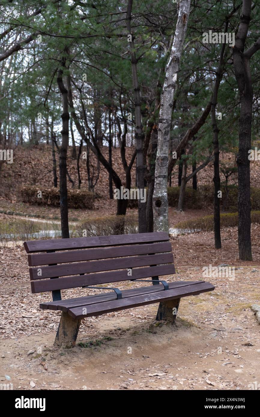 Seoul korea bench hi-res stock photography and images - Alamy
