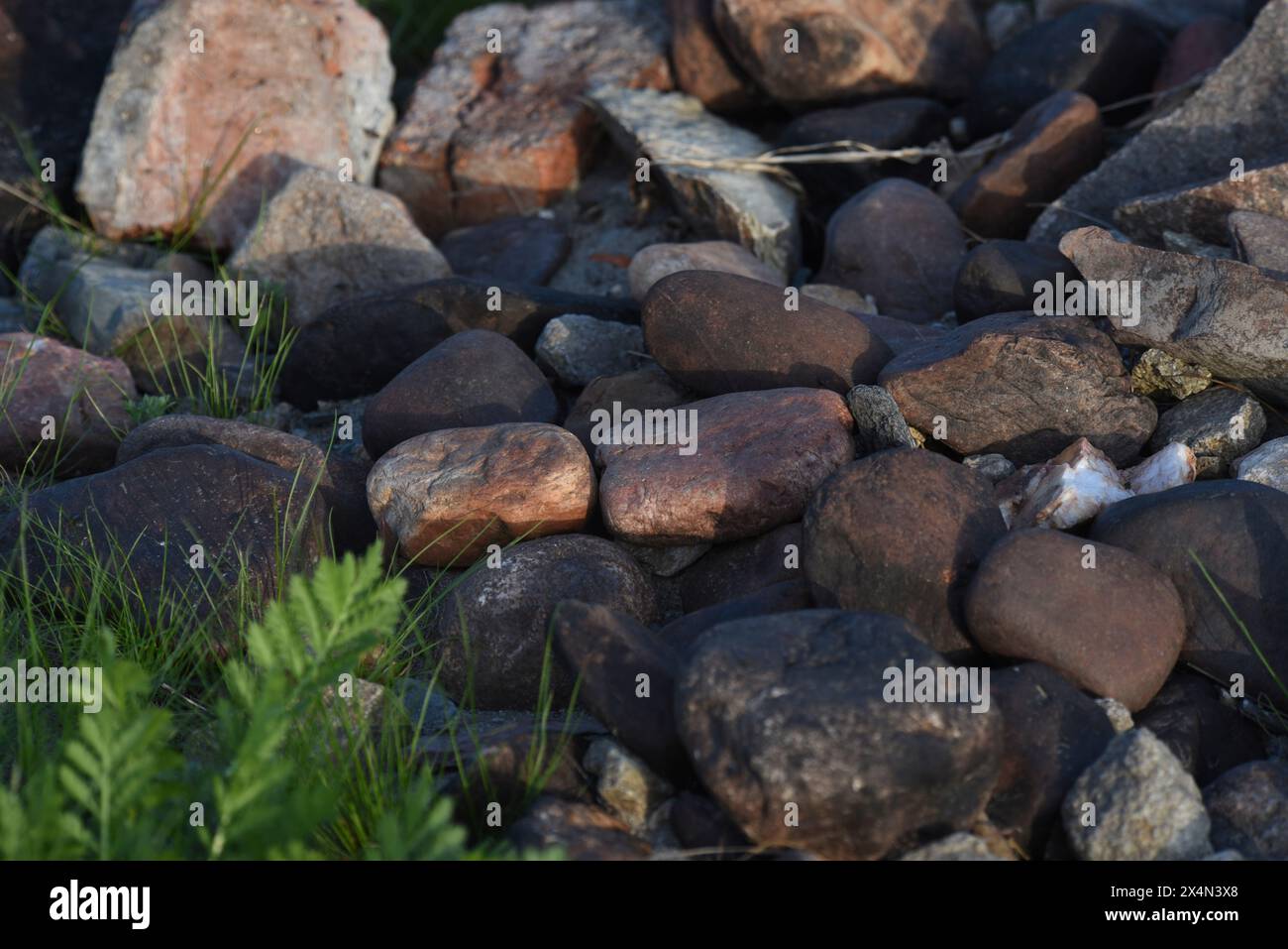 Riverbank with stones hi-res stock photography and images - Alamy