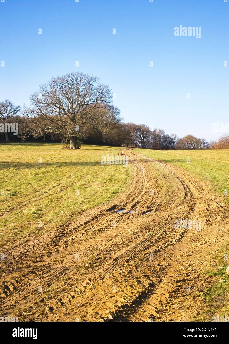 Muddy tracks field hi-res stock photography and images - Alamy