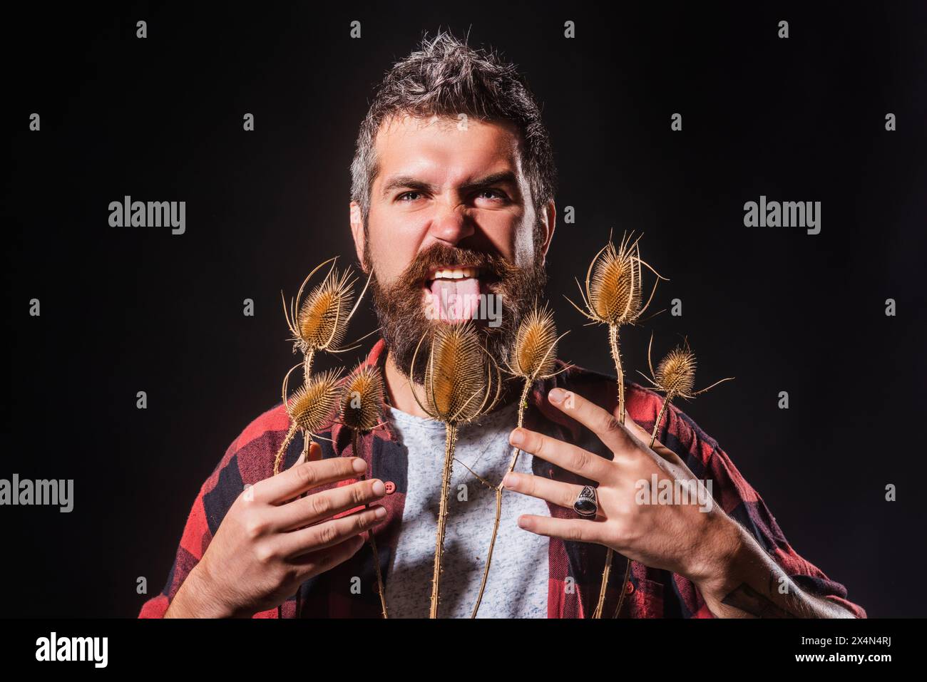 Beard bristled. Male prickly stubble concept. The prickly bristle ...