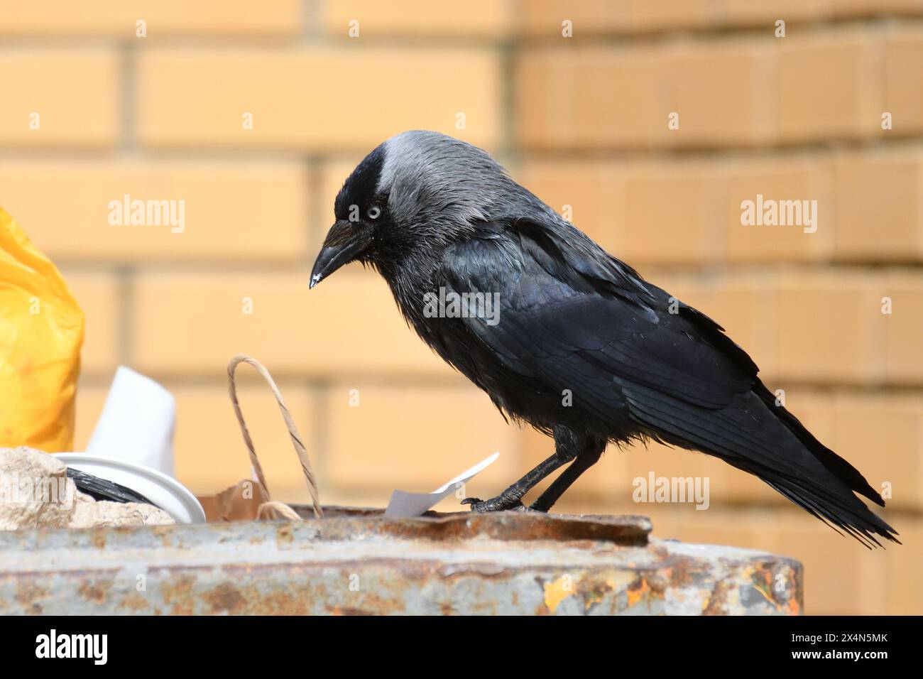 Garbage on edge city hi-res stock photography and images - Alamy