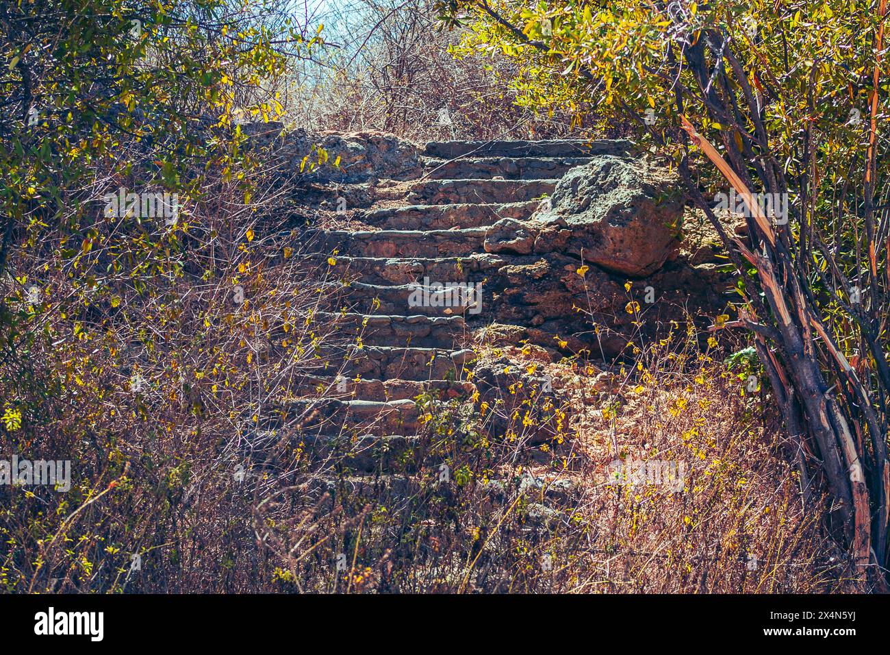 Fortress among trees hi-res stock photography and images - Alamy