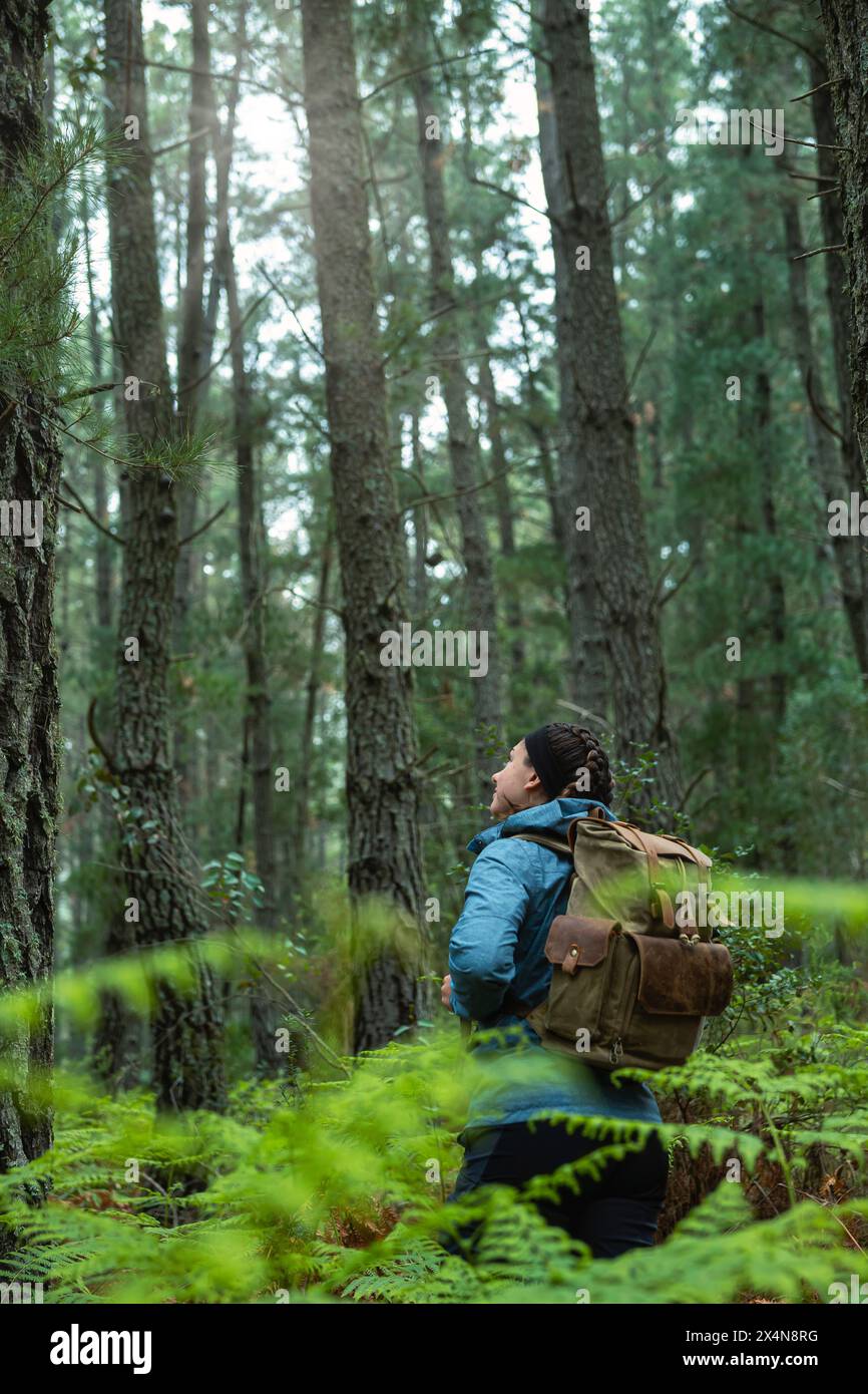 Young girl with backpack walking through a forest of pine and ferns ...