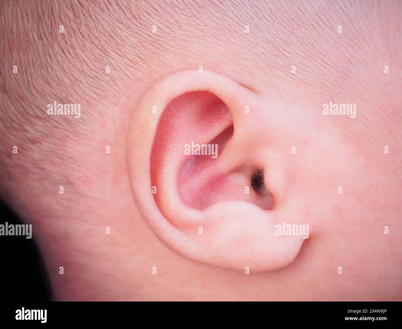 Newborn baby ear hi-res stock photography and images - Alamy