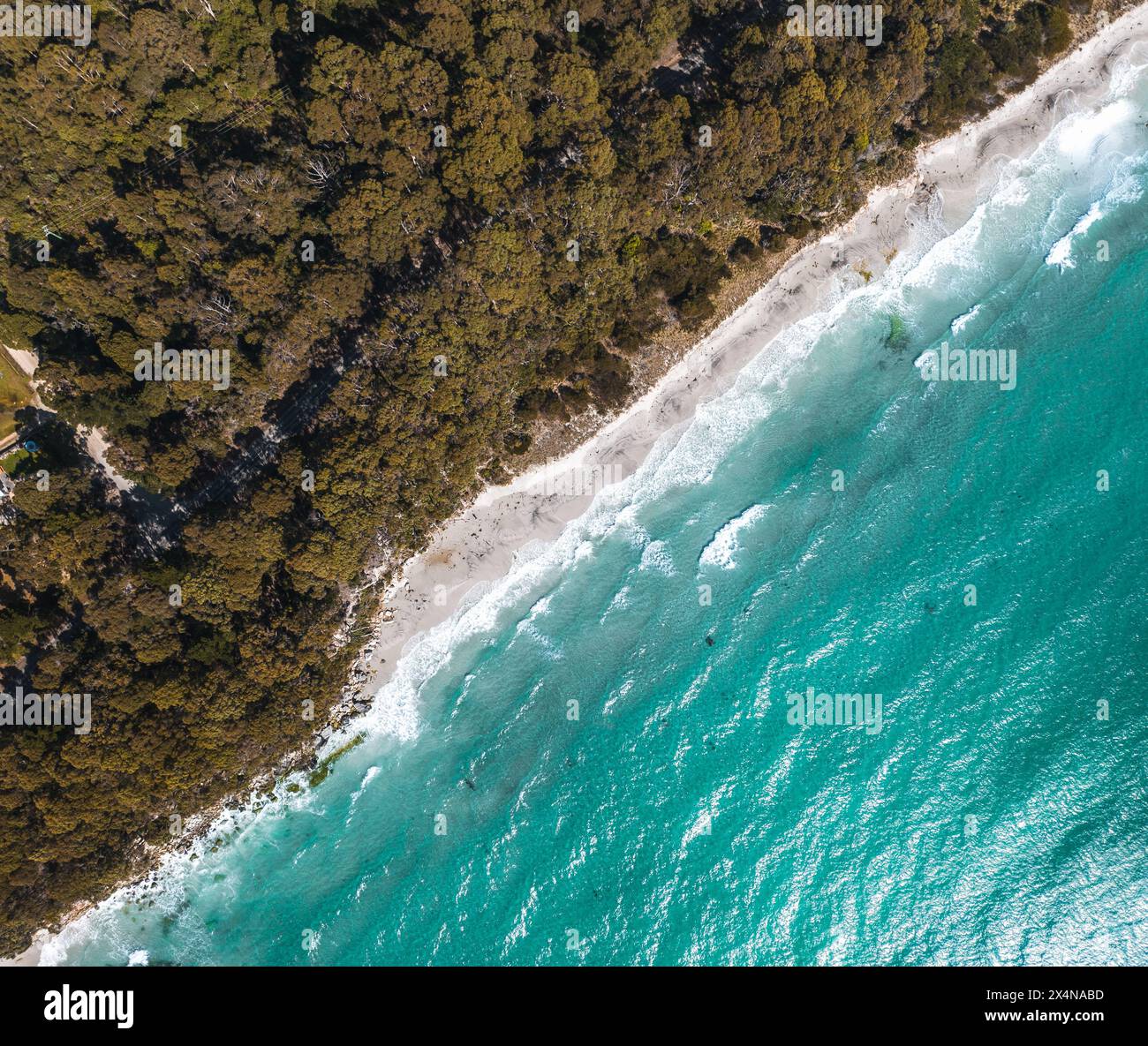 Azure lake aerial forest shore hi-res stock photography and images - Alamy