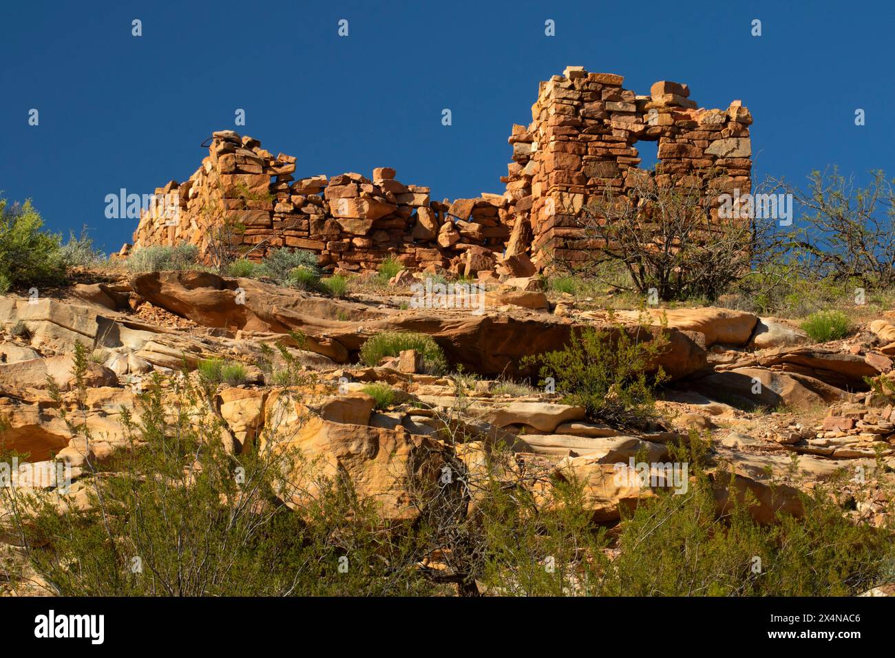 Fort ruins, Fort Pearce Historic Site, St. George Bureau of Land ...