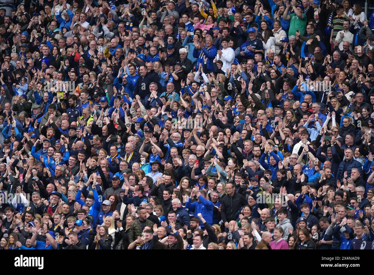 Leinster Rugby supporter before the Investec Champions Cup semi-final ...