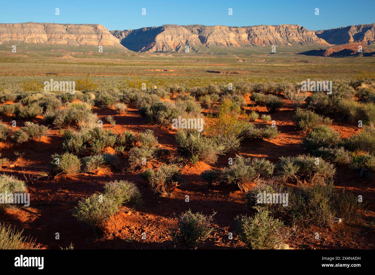 Warner Valley high desert, Warner Valley Dinosaur Track Site, St ...