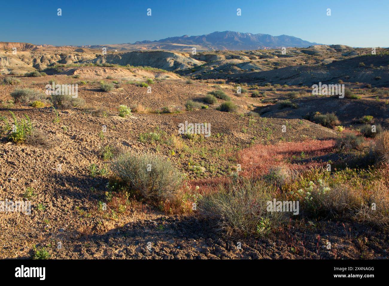 Badlands, White Dome Nature Preserve, Utah Stock Photo - Alamy