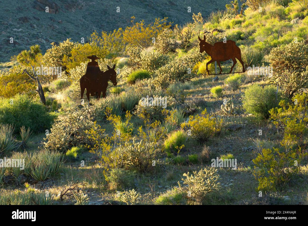 Statue silhouettes, Beaver Dam Wash National Conservation Area, Old ...