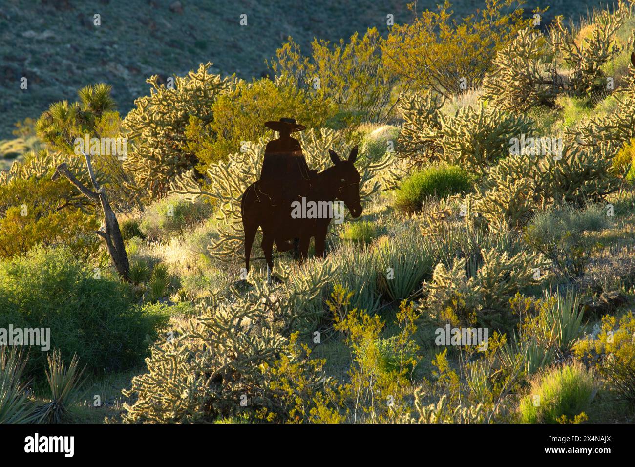 Statue silhouettes, Beaver Dam Wash National Conservation Area, Old ...