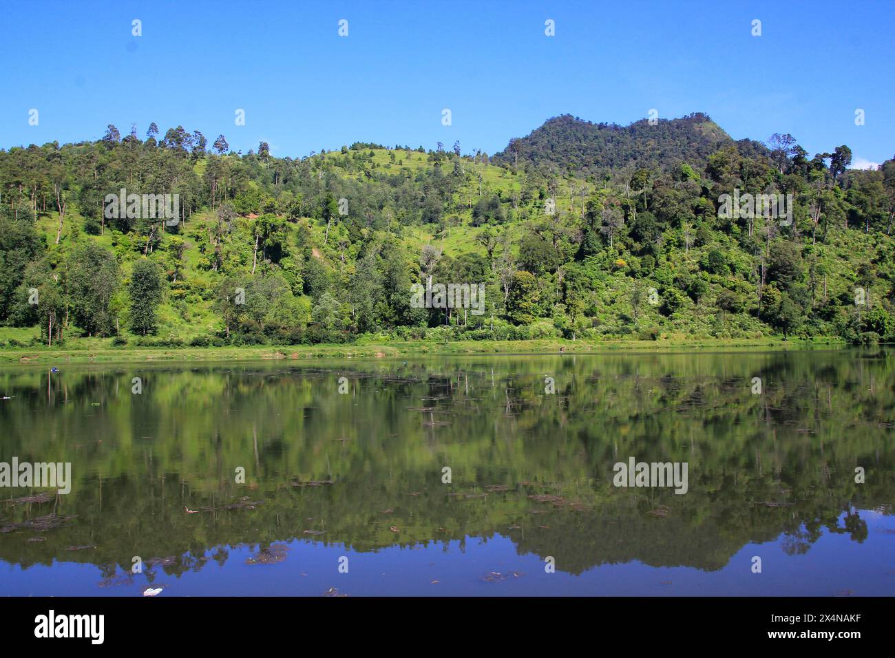 Green and beautiful area around Lake Cisanti which is the source of the ...