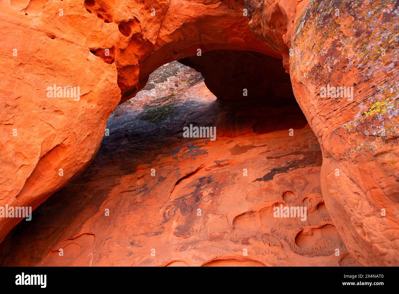 Pioneer names trail hi-res stock photography and images - Alamy