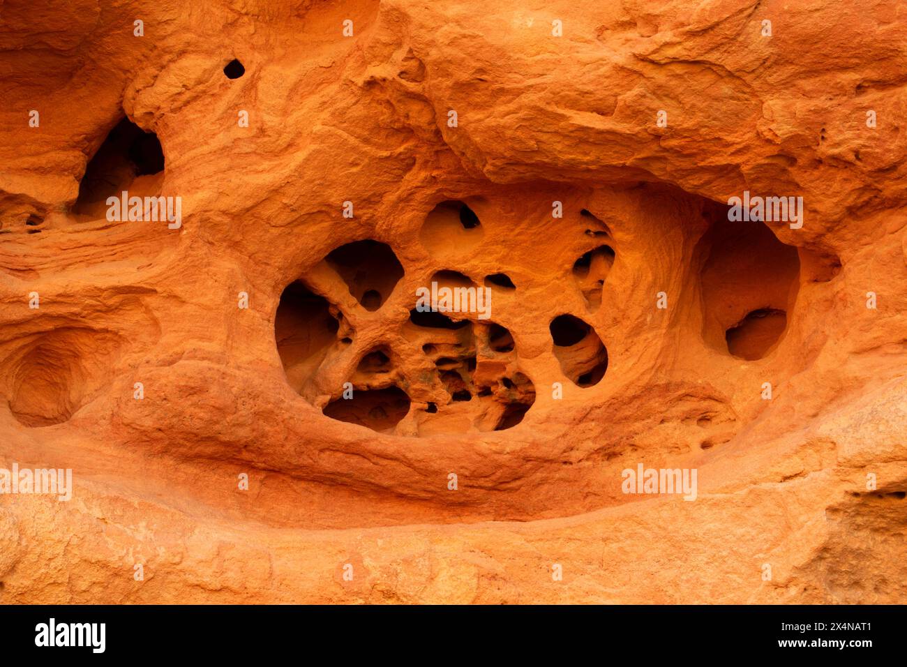 Sandstone honeycomb along Jenny's Canyon Trail, Snow Canyon State Park ...