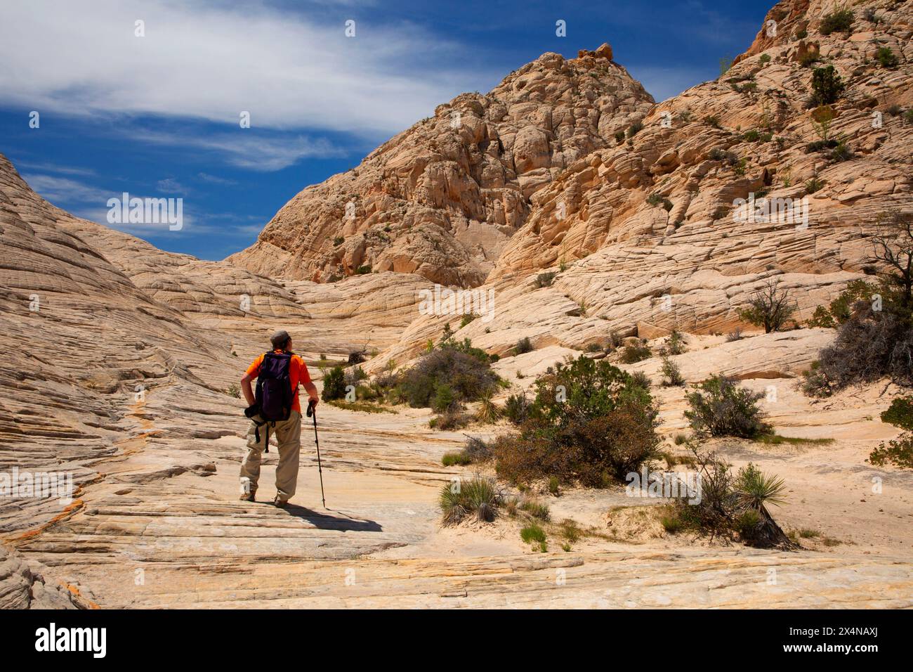 Whiterocks Amphitheater, Snow Canyon State Park, Utah Stock Photo - Alamy