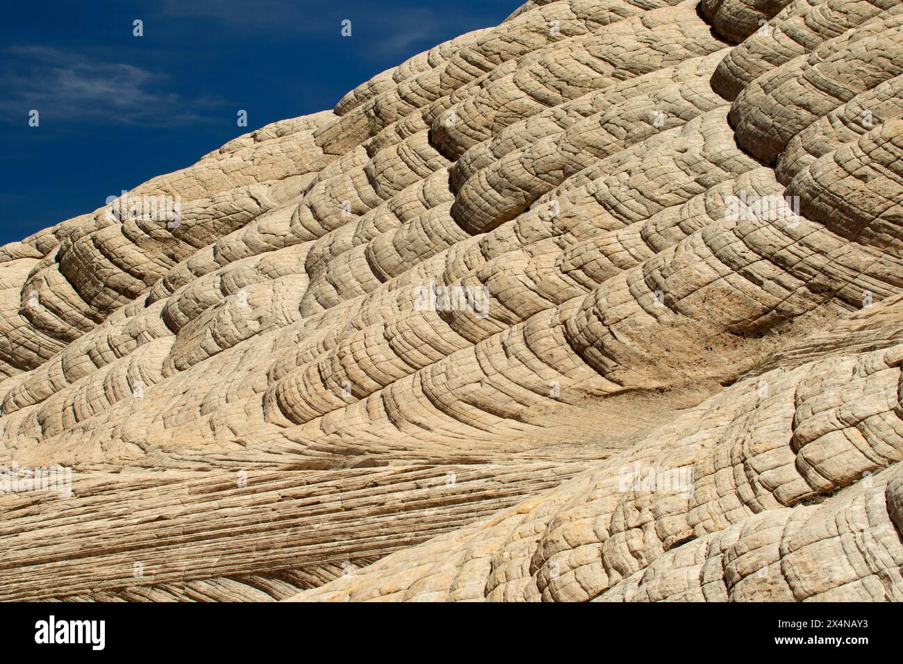 Sandstone bedding at Whiterocks Amphitheater, Snow Canyon State Park ...