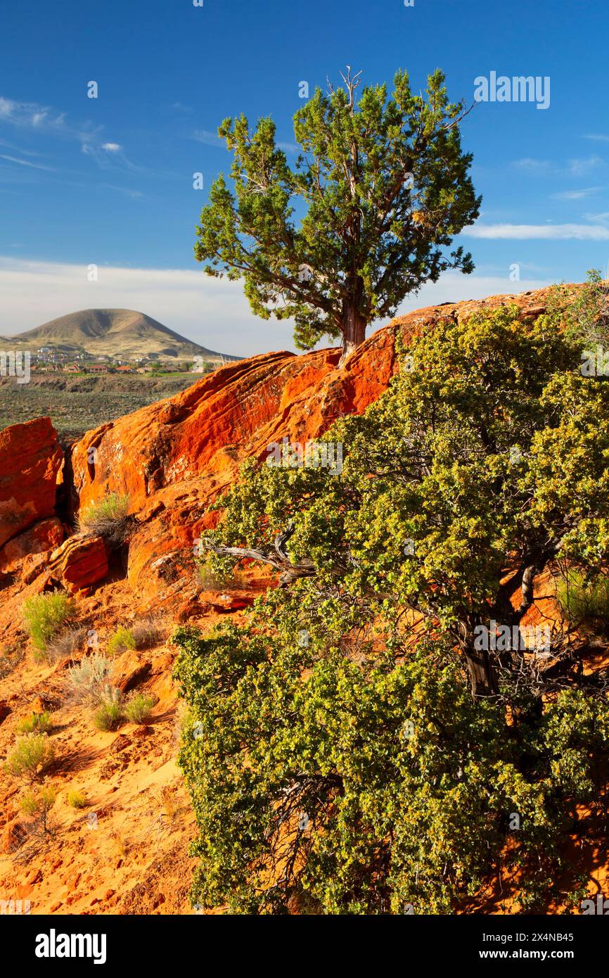 Red rocks view from Babylon Arch Trail, Red Cliffs National ...