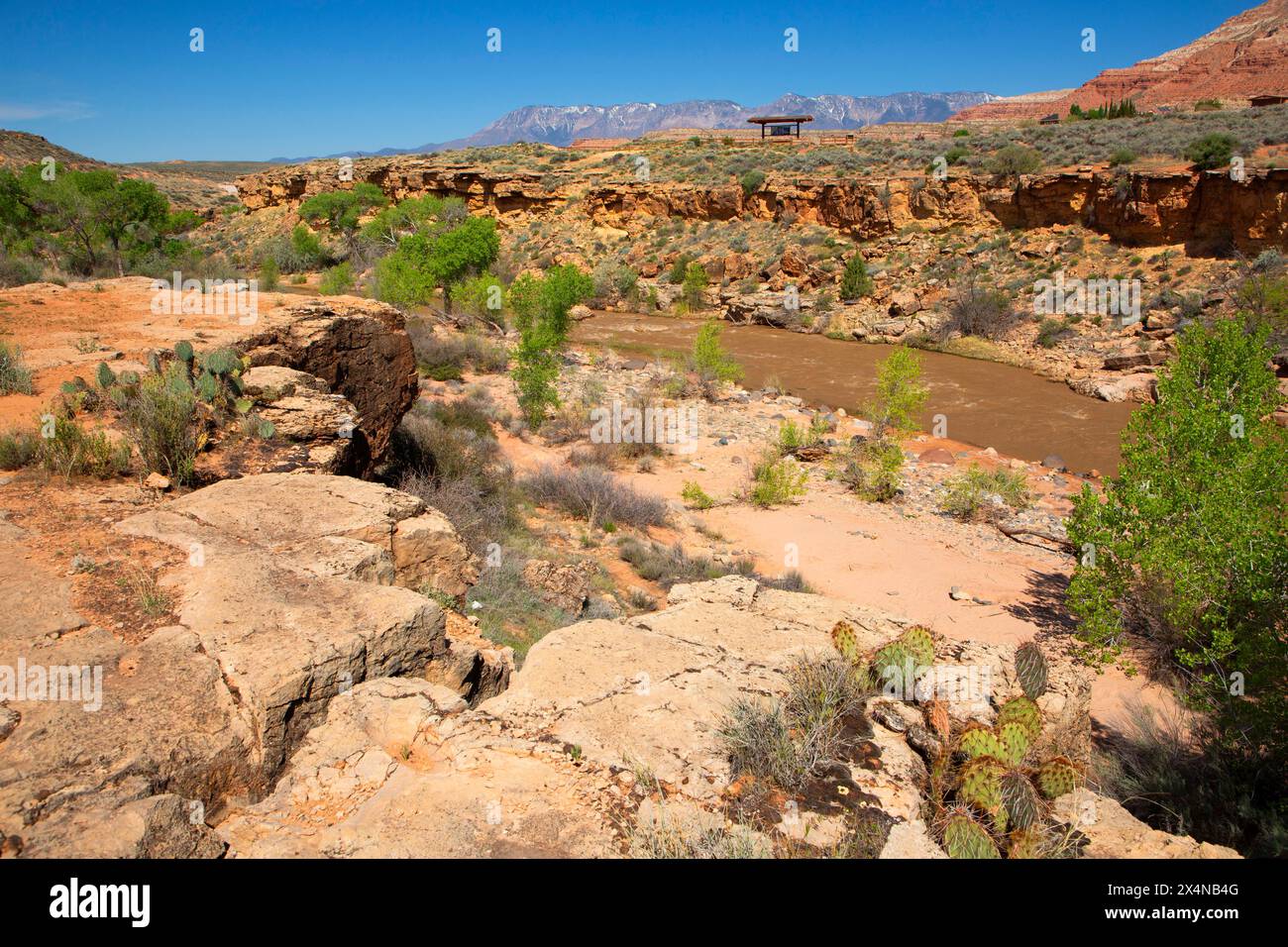 Virgin River, Falls Park, Virgin, Utah Stock Photo - Alamy