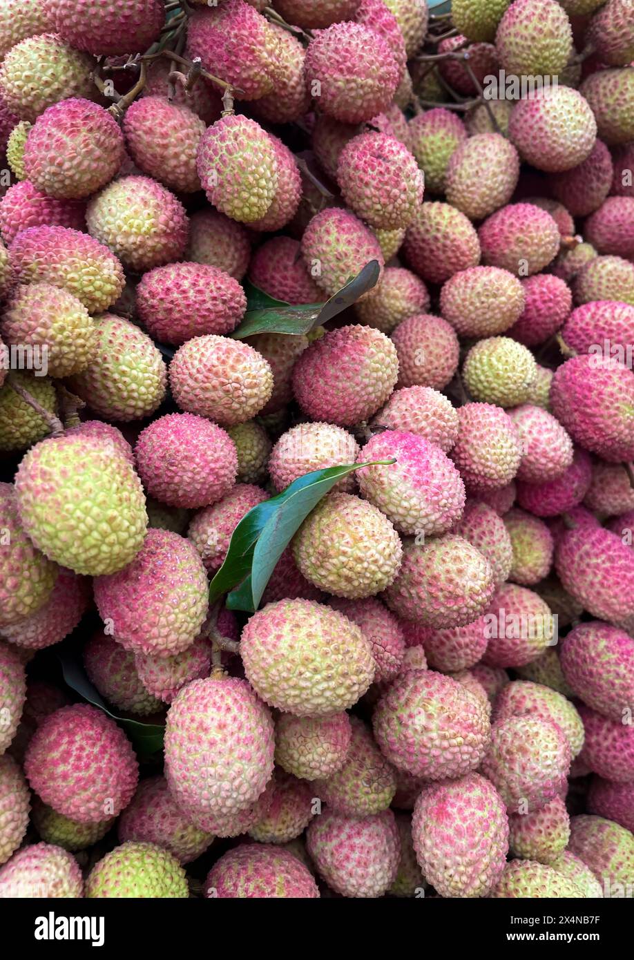 Lichi photo bangladesh hi-res stock photography and images - Alamy