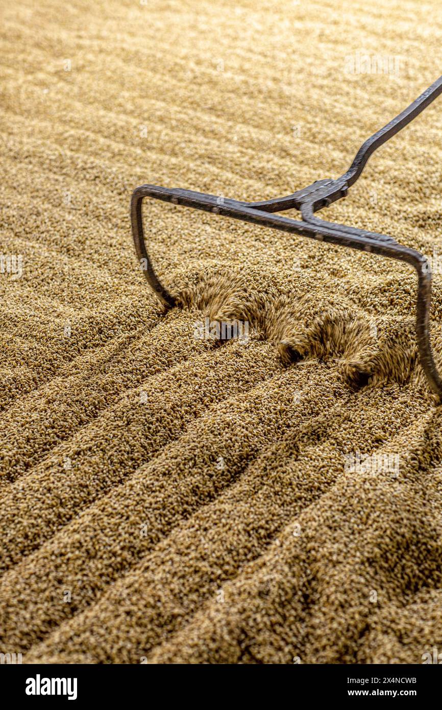 Springbank distillery malting floor, Campbeltown, Scotland, United ...