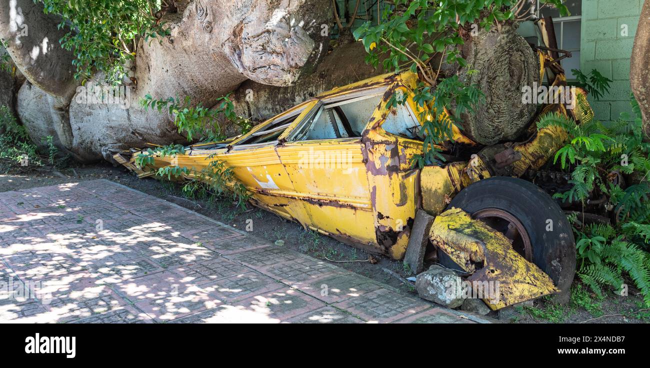 School bus roseau hi-res stock photography and images - Alamy