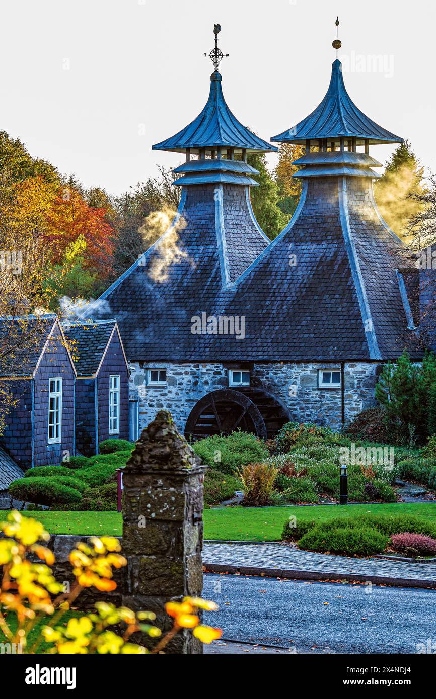 Single malt whiskey strathisla hi-res stock photography and images - Alamy
