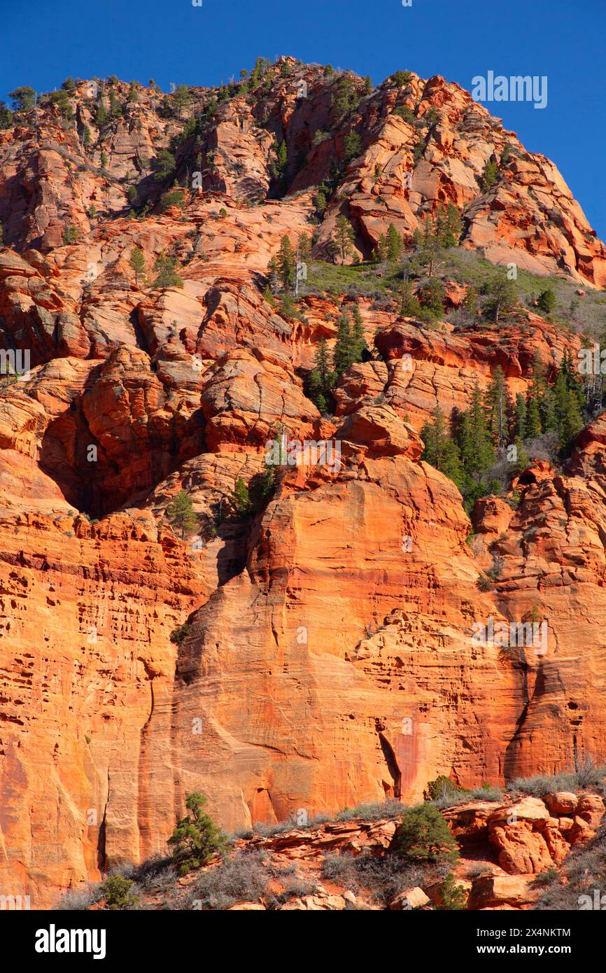 Beatty point hi-res stock photography and images - Alamy