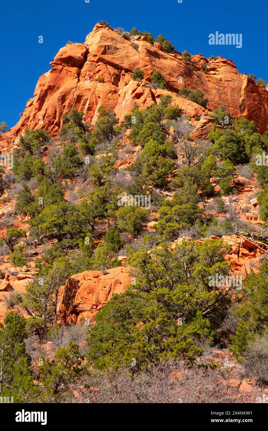 Sandstone ridge hi-res stock photography and images - Alamy