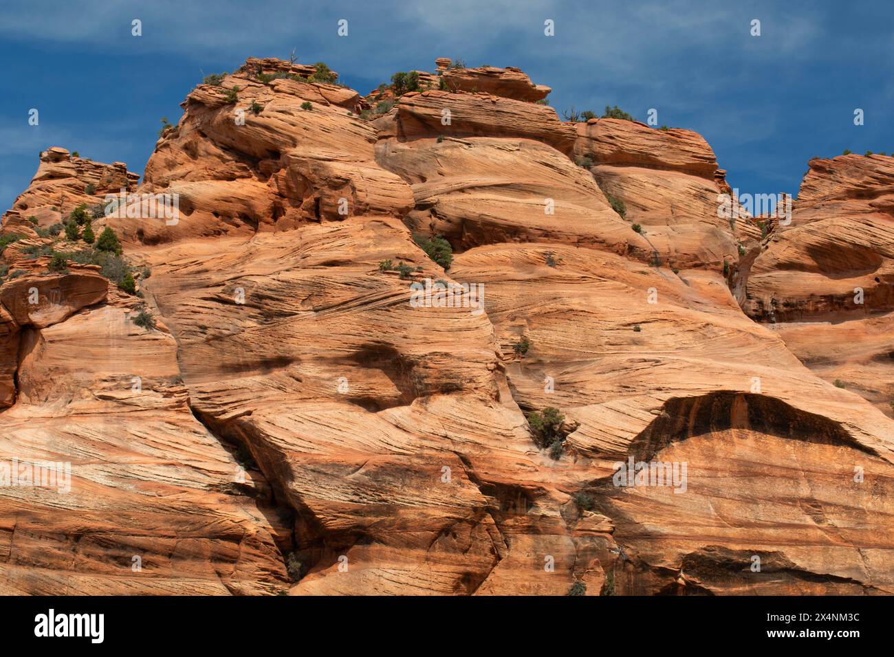Views along Kolob Terrace Road, Zion National Park, Utah Stock Photo ...