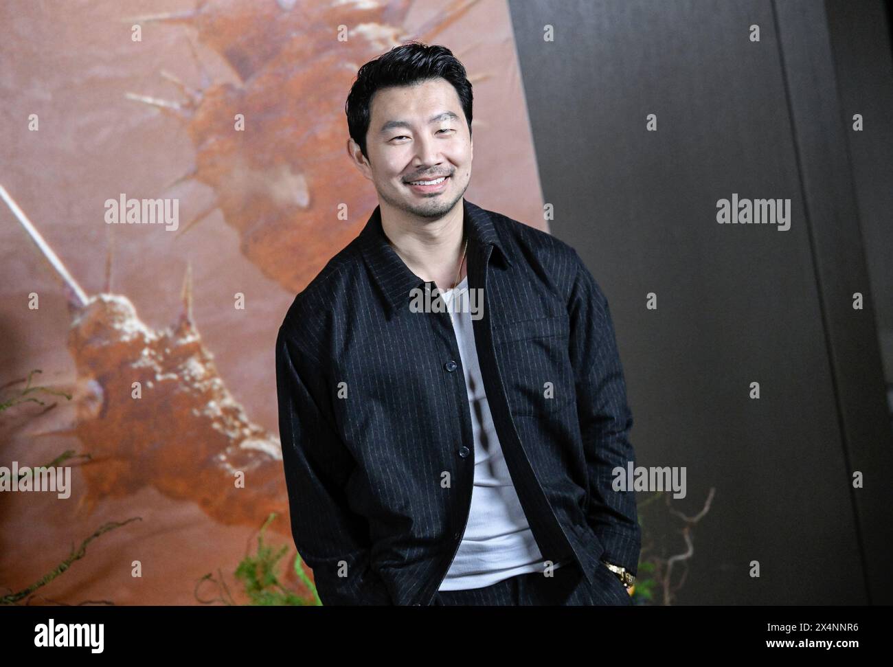 Simu Liu participates in a Netflix "Atlas" photo call at the Four ...