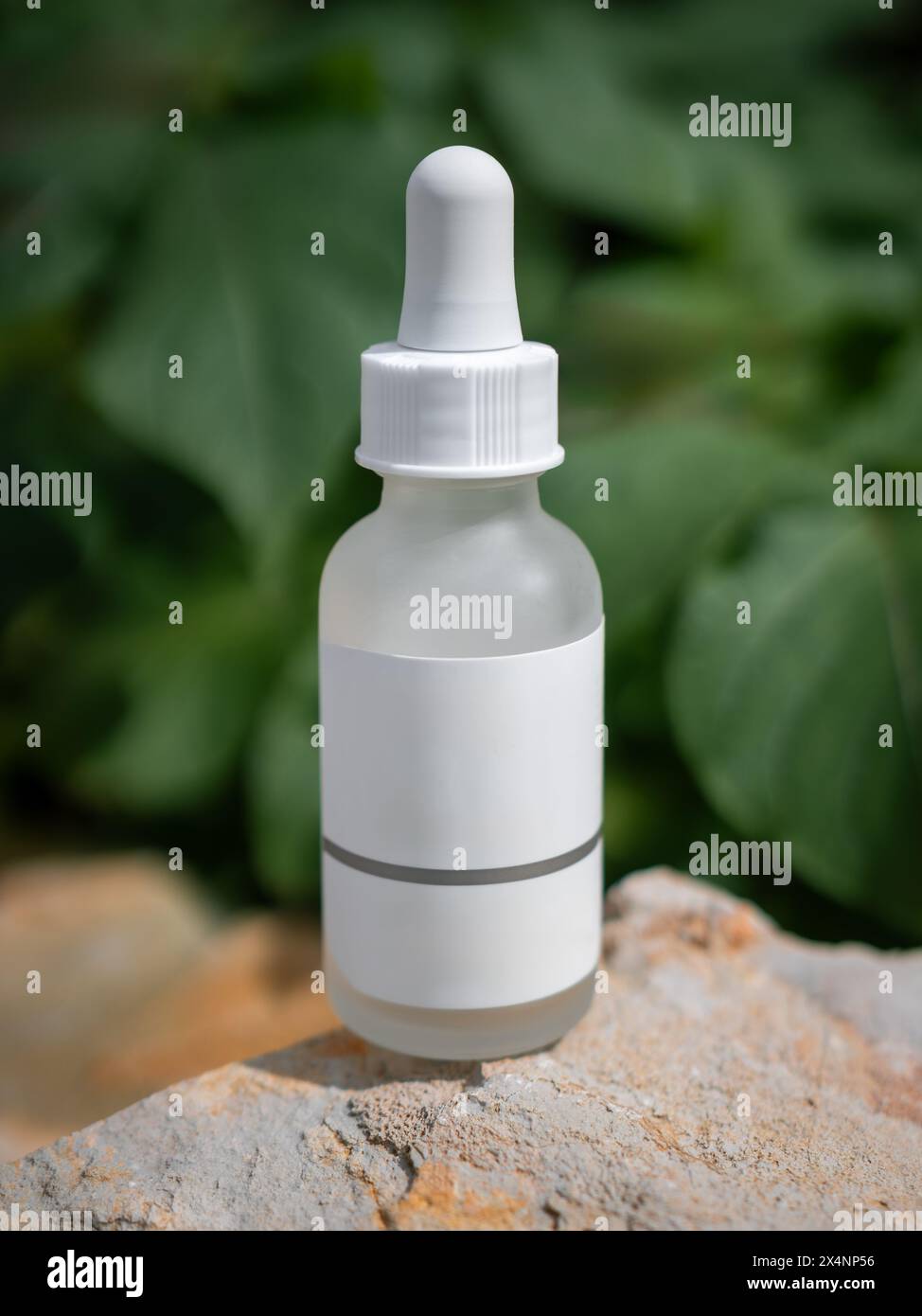 Mock up glass dropper bottle with white empty label on a rock with ...