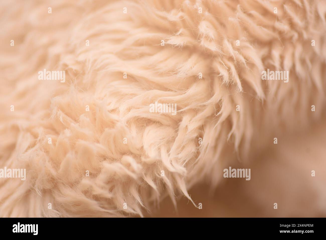 Furry wool cotton texture for blankets and winter sweaters and jackets ...