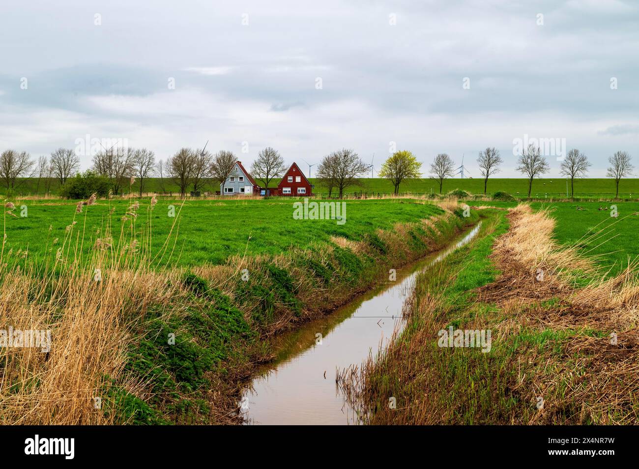 Drainage ditch and two lonely houses between Ditzum and Pogum, view in ...