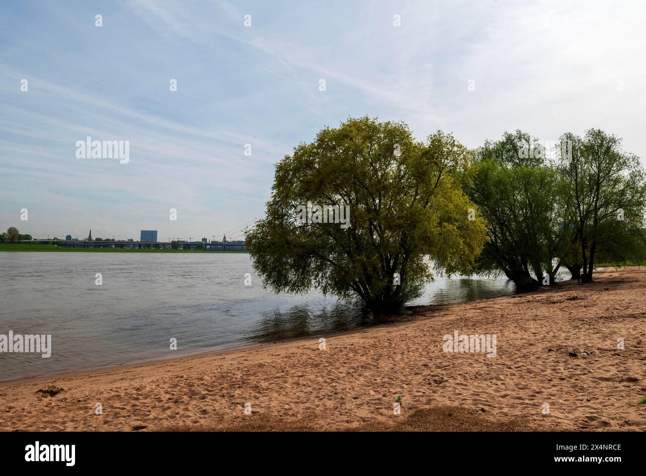 Sandy beach beach Paradiesstrand, Duesseldorf harbour, Duesseldorf ...
