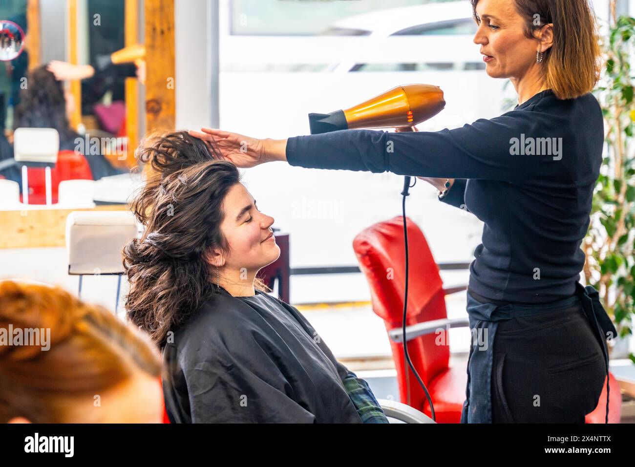 Side view of a beauty hairdresser drying the hair of a woman using ...